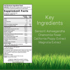 Power to Sleep PM melatonin gummies