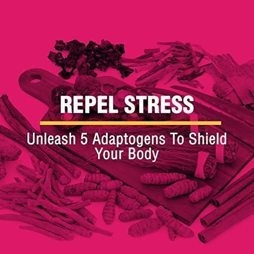 powerful adaptogens for longevity