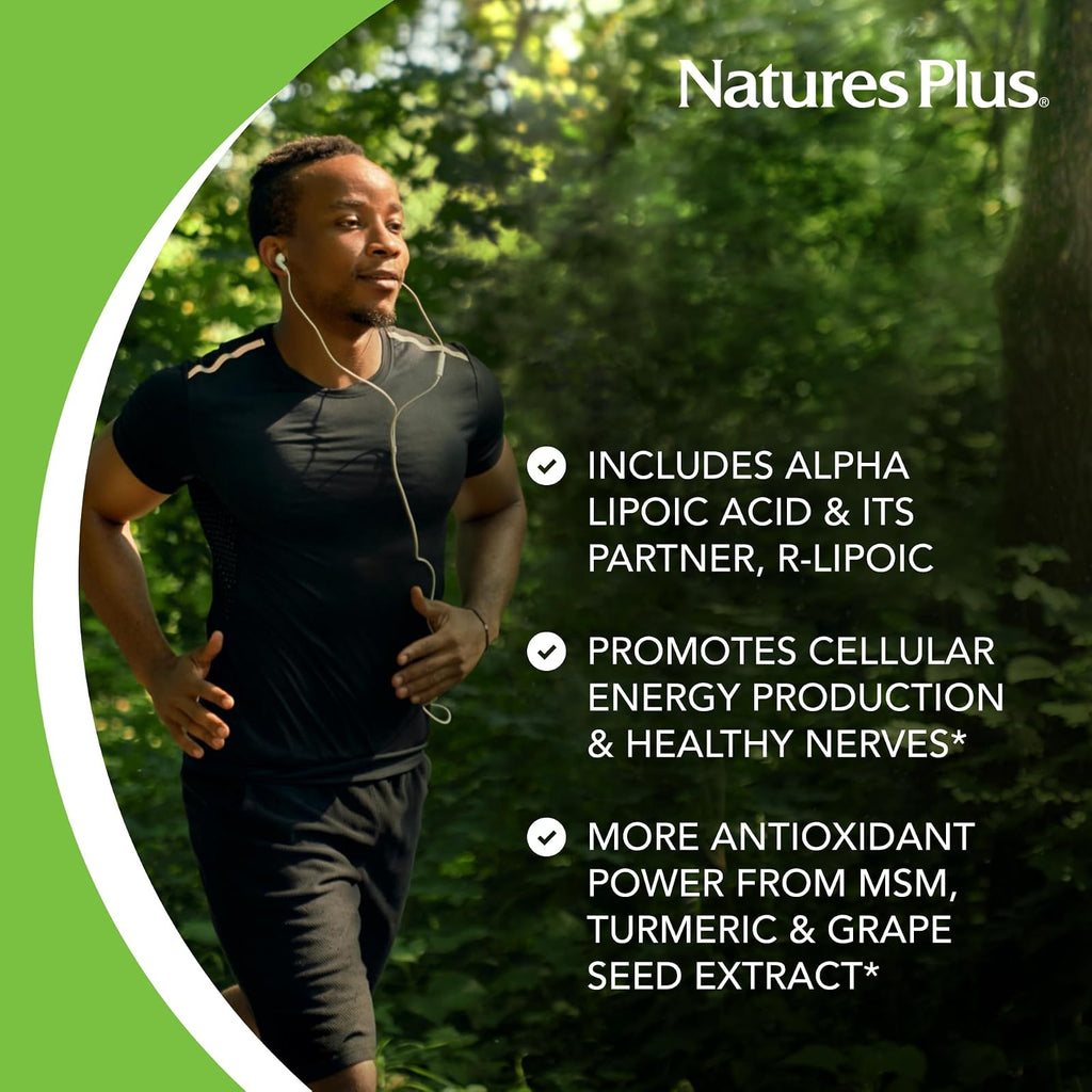 powerful antioxidant alpha lipoic acid