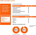 powerful antioxidant for daily use
