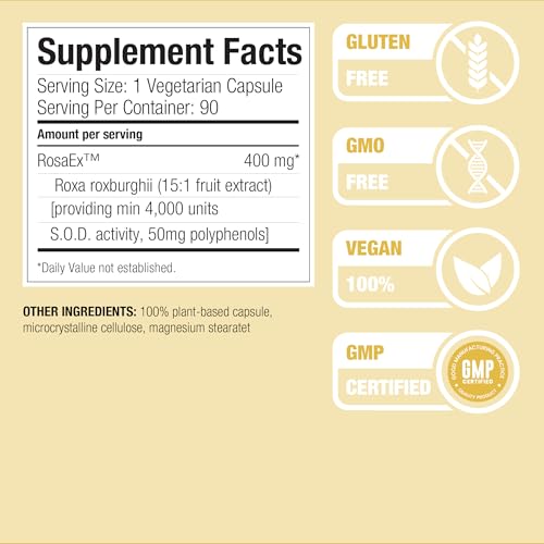 powerful antioxidant for daily use