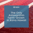 powerful antioxidant for overall wellness