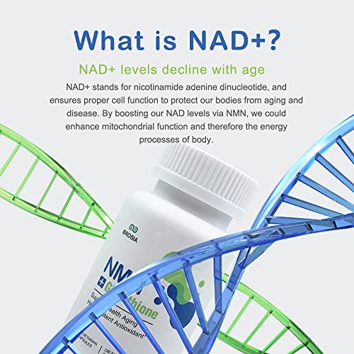Powerful antioxidant formula with NMN