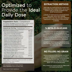 powerful antioxidant mushroom blend