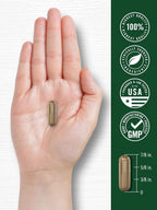 Powerful antioxidant Neem leaf extract