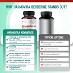 powerful antioxidant properties in berberine