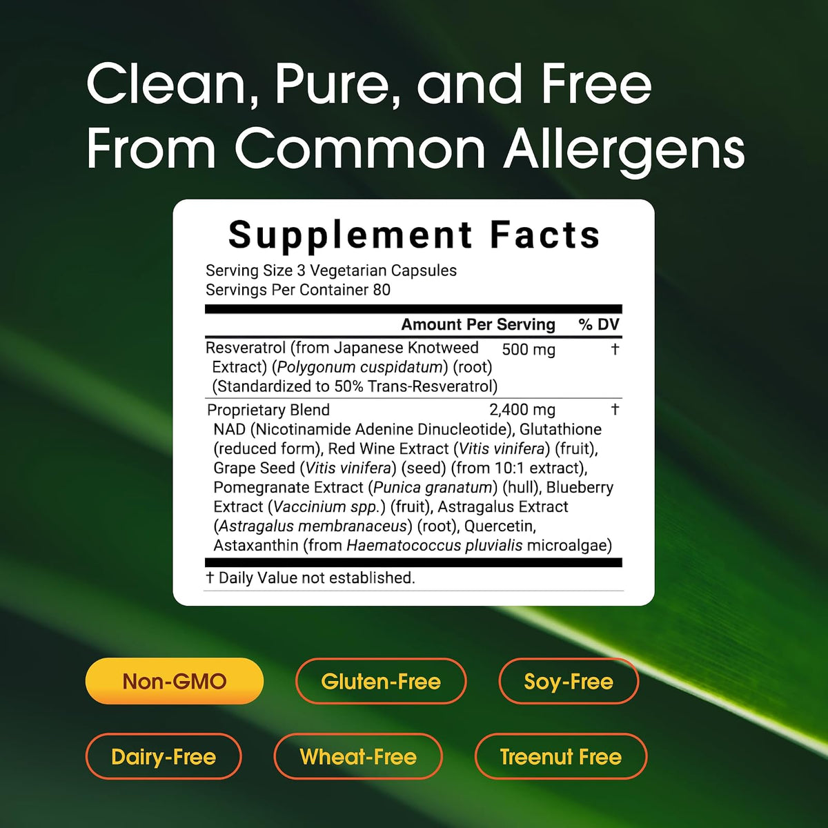 powerful antioxidant support supplement