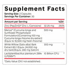 powerful antioxidant turmeric capsules