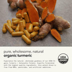powerful antioxidant turmeric formula