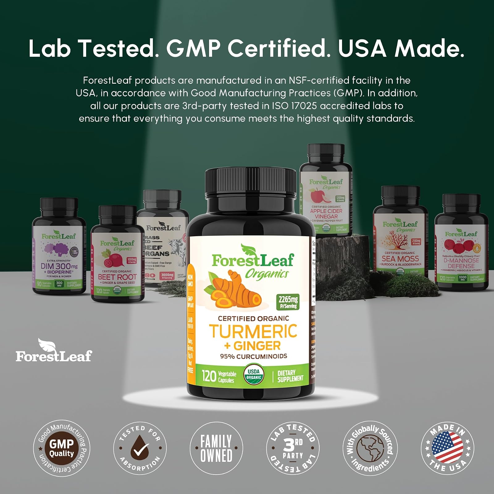 powerful antioxidant turmeric supplement