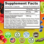 powerful antioxidant vitamin c formula