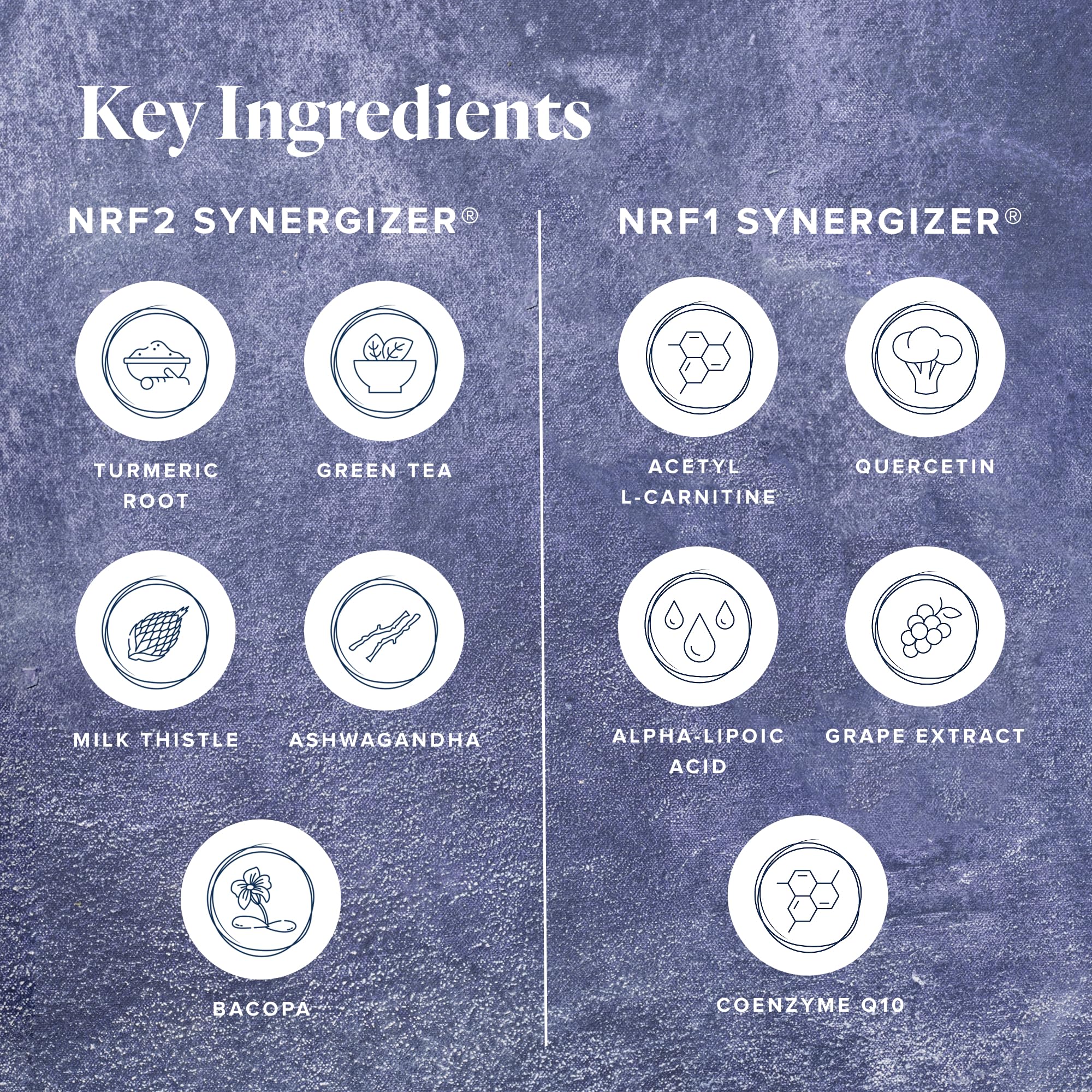 powerful antioxidants for cellular health