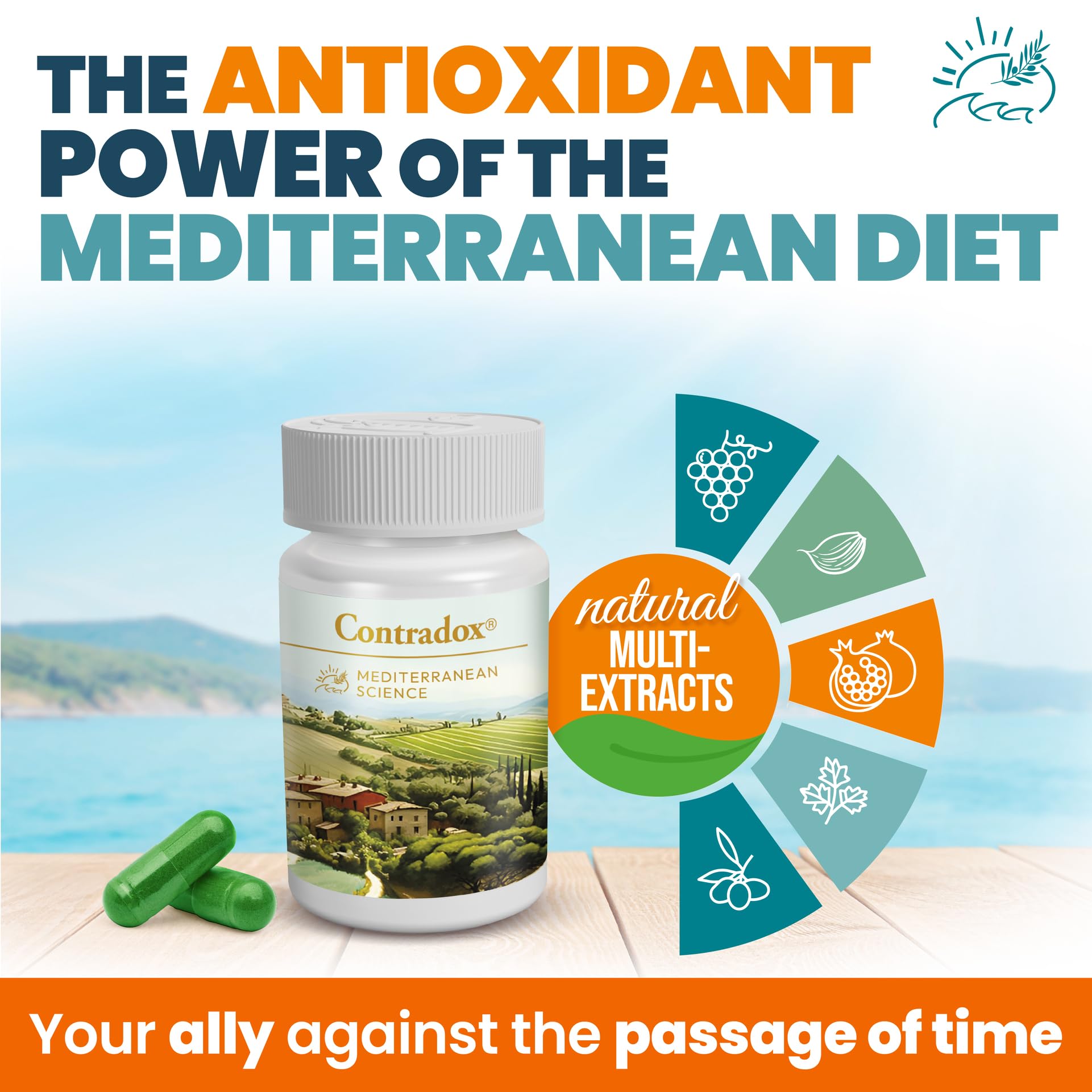 powerful antioxidants for overall wellness