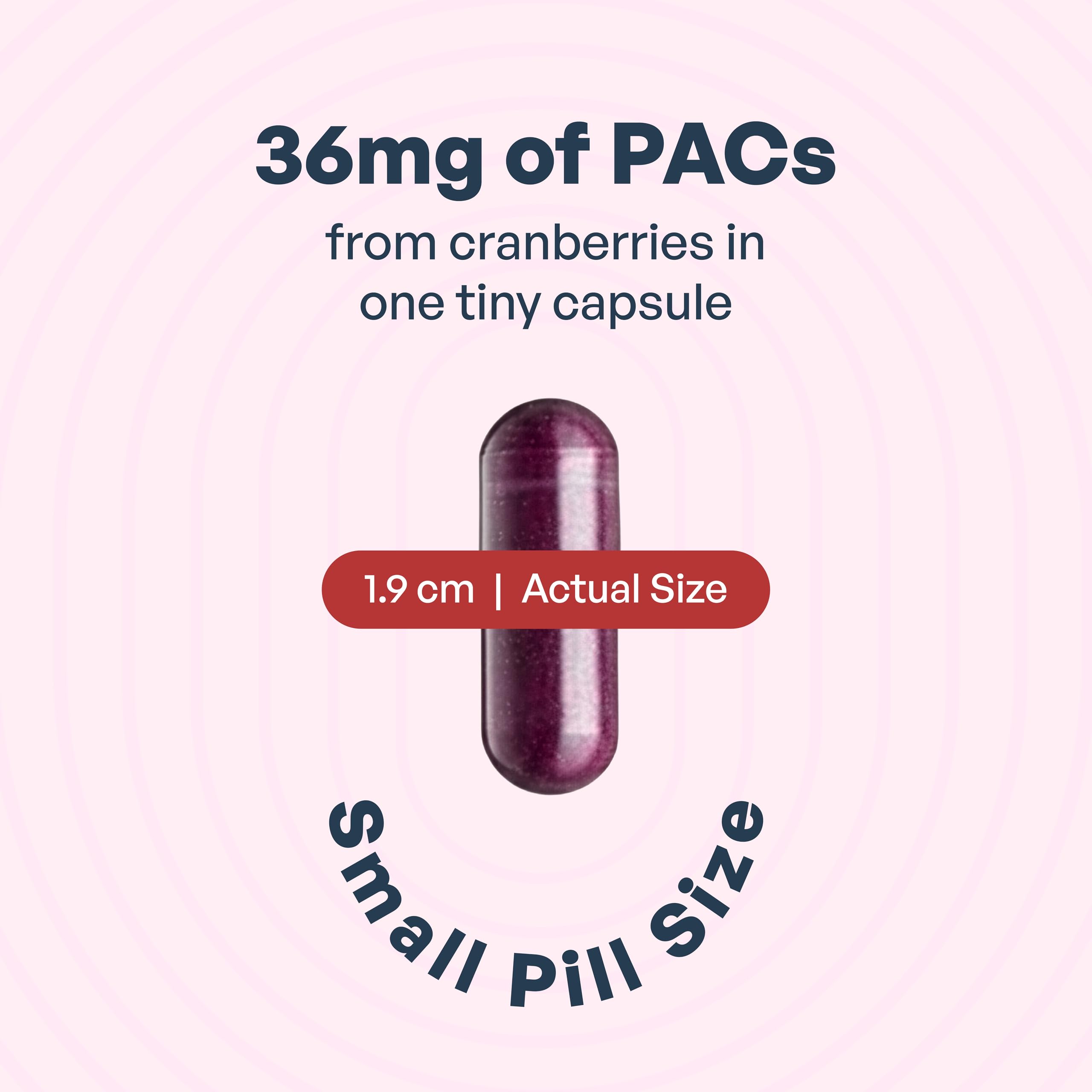 powerful antioxidants in cranberry supplement