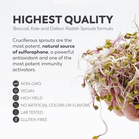 powerful antioxidants in every scoop