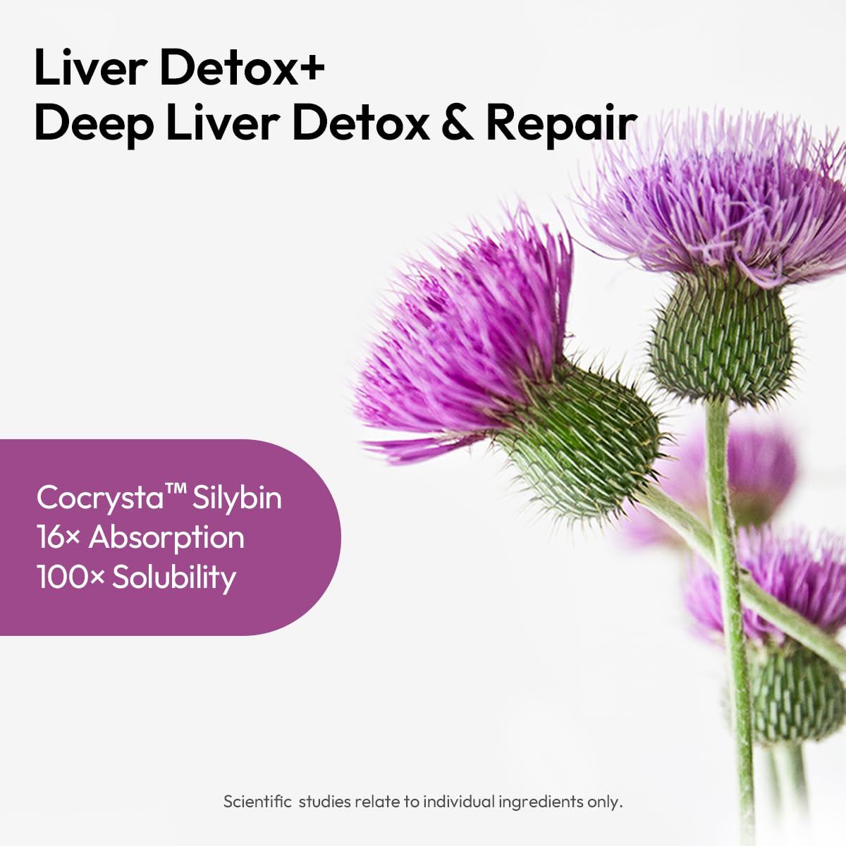 powerful antioxidants in milk thistle
