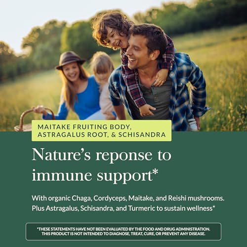 powerful astragalus root for immunity