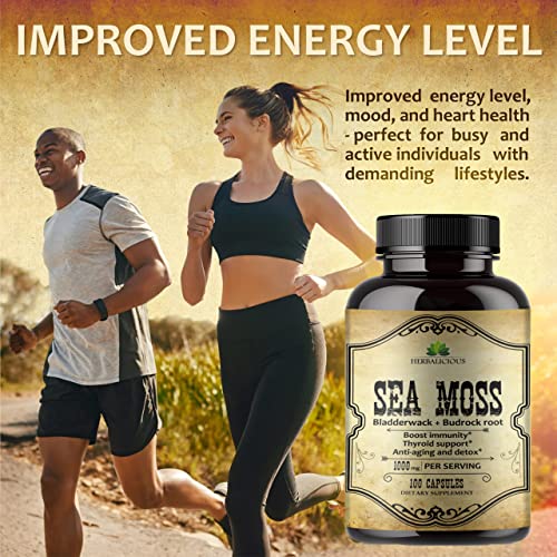 powerful blend of sea moss nutrients
