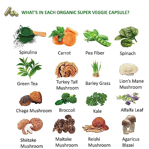 powerful blended vitamin & mineral support