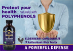 powerful elderberry concentrate for health