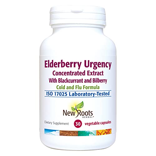 powerful elderberry formula with blackcurrant