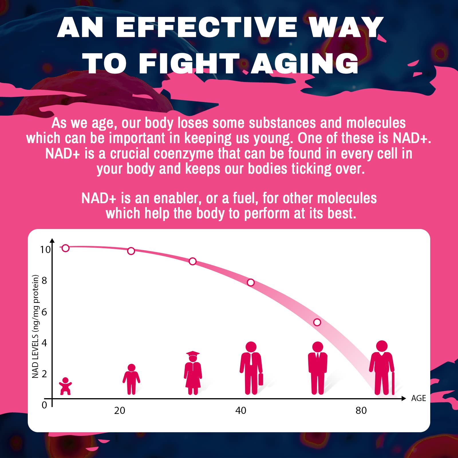 powerful energy supplement for vitality