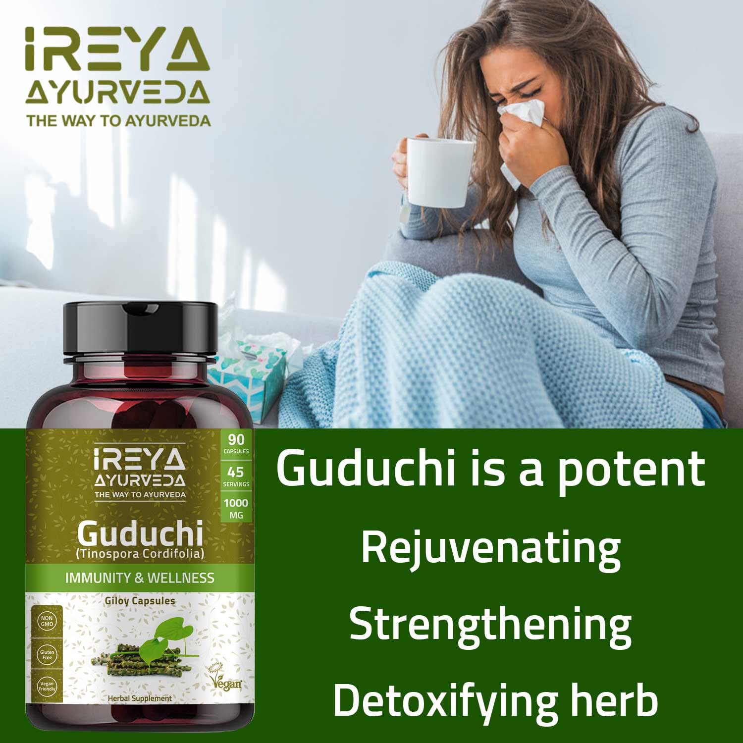 powerful giloy capsules for rejuvenation
