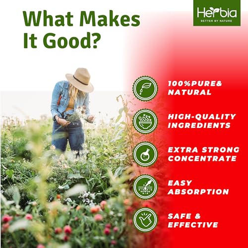 powerful ginseng for energy boost