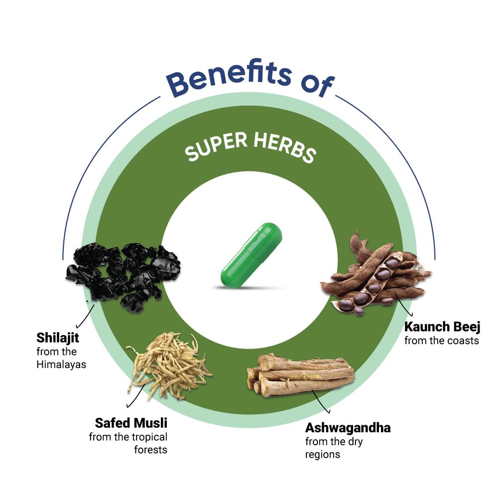 powerful herbs for enhanced energy