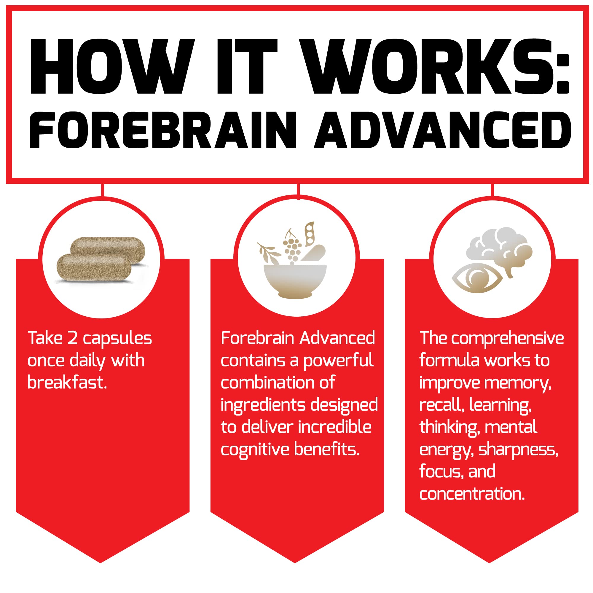 powerful ingredients for brain health