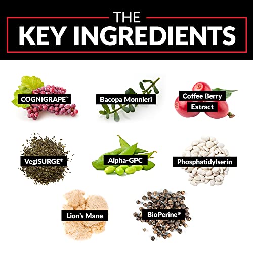 powerful ingredients for cognitive function