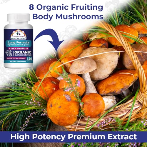 powerful mushroom extract for immune boost