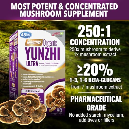 powerful mushroom extract for vitality