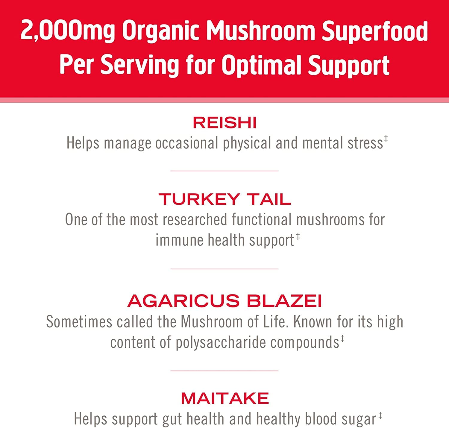 powerful mushrooms for daily health