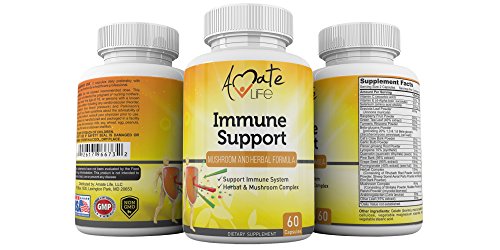 powerful mushrooms for immune defense
