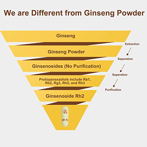 powerful red ginseng for endurance