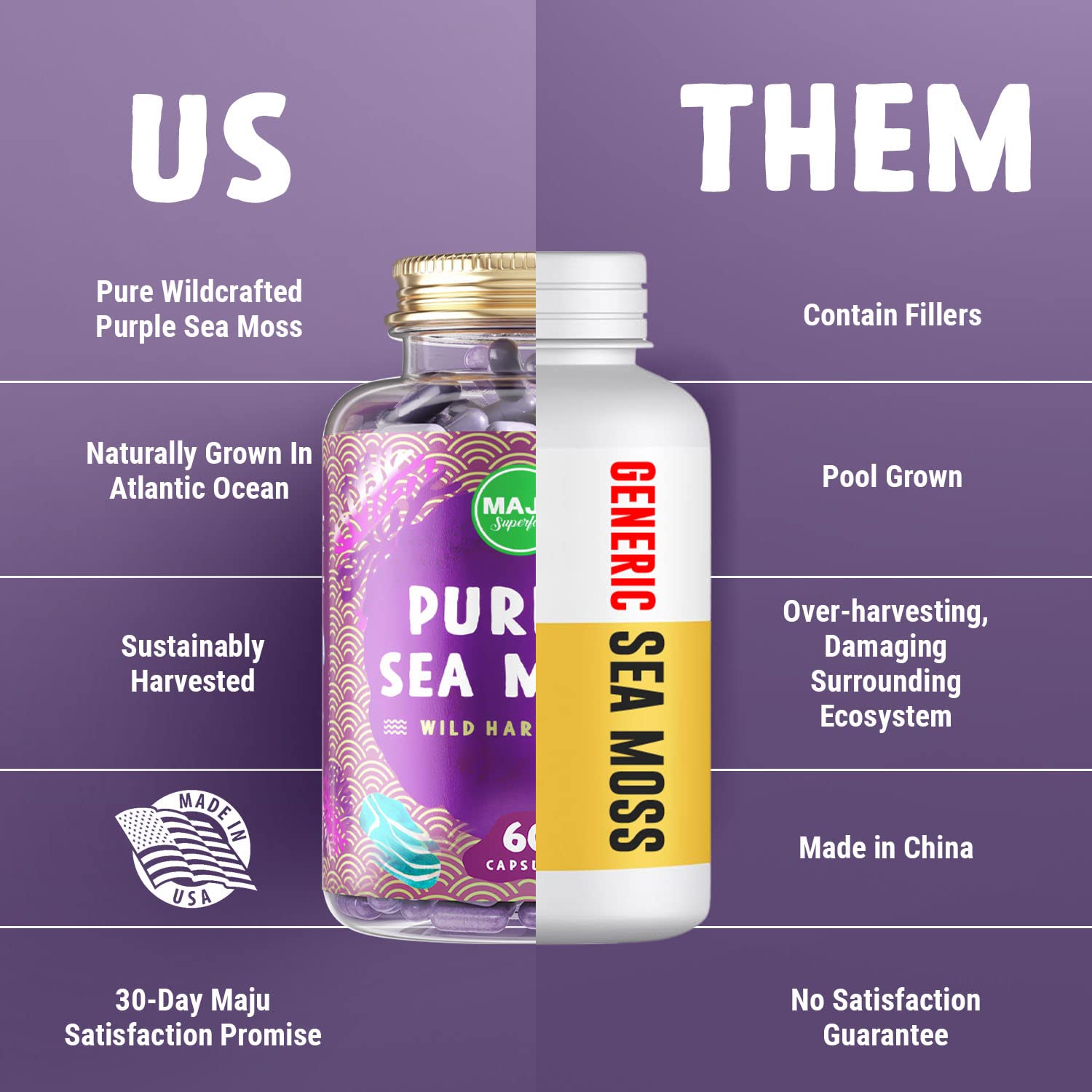 powerful sea moss for daily health