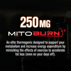 powerful thermogenic fat burners