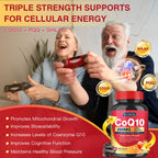 PQQ and shilajit enhanced coq10