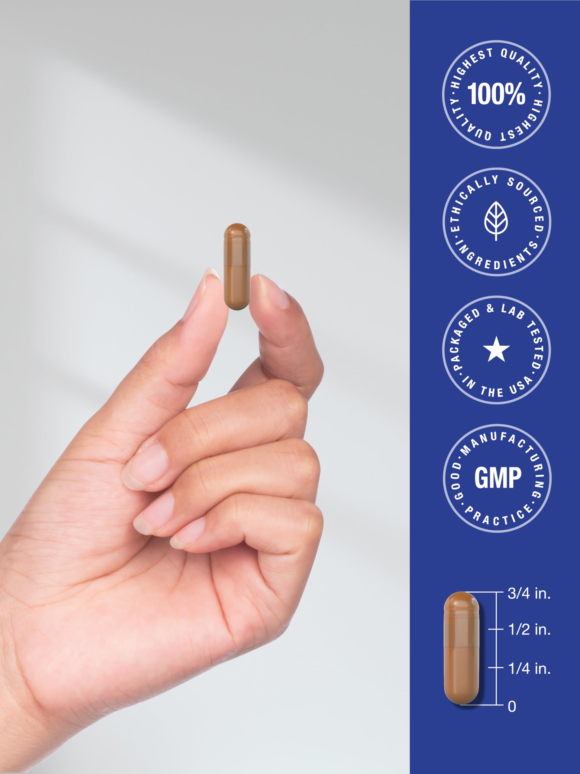PQQ capsules for mental clarity