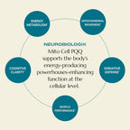 PQQ energy and cognitive support