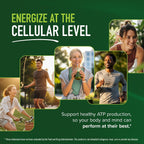 PQQ supplement for cellular function