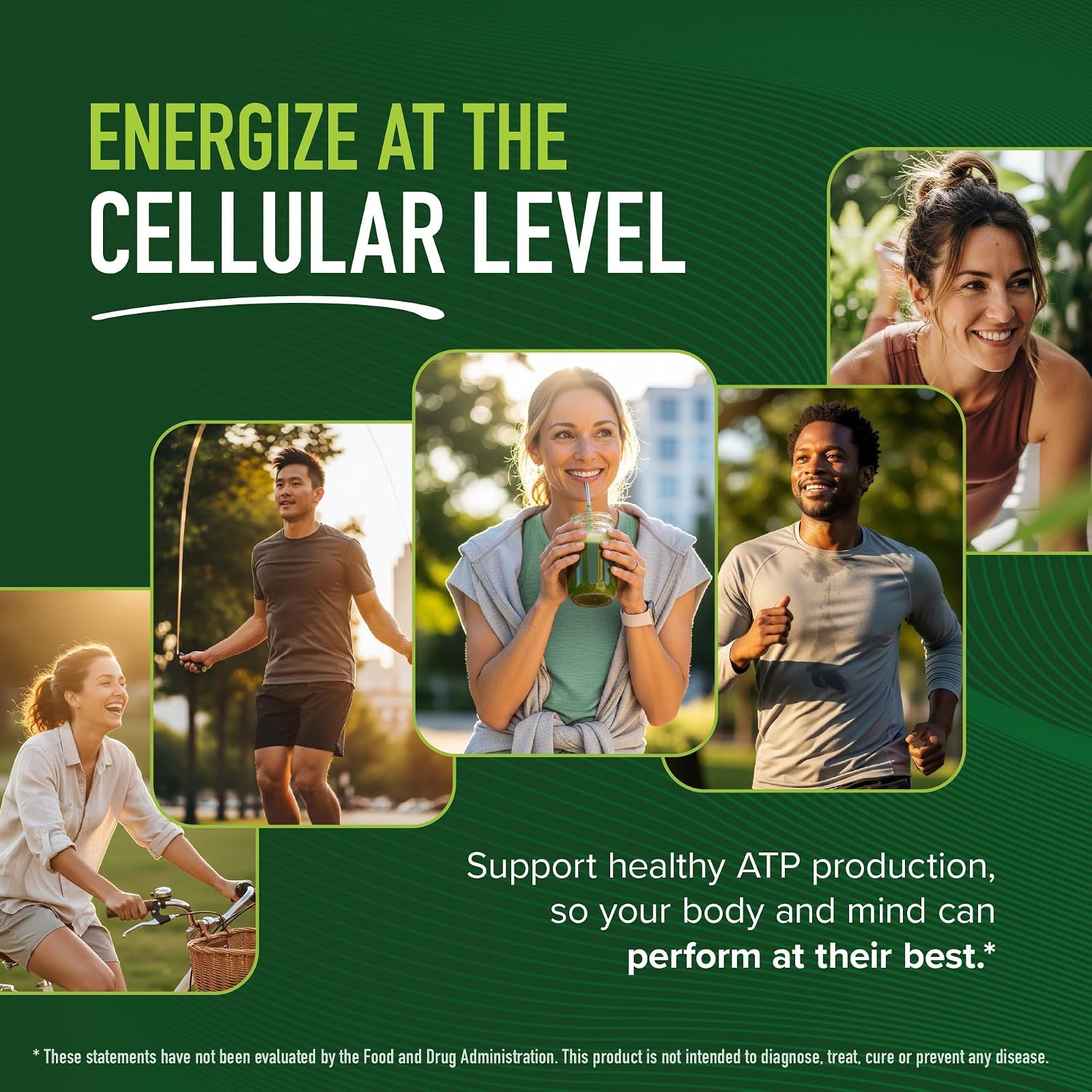 PQQ supplement for cellular function