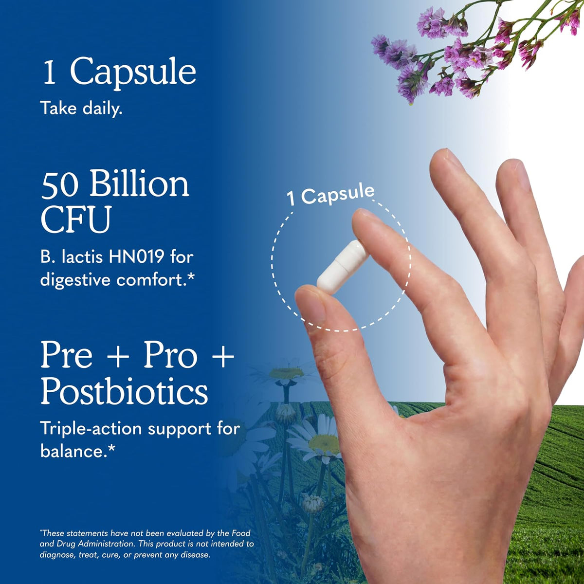 pre pro postbiotic daily formula