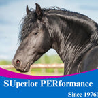 pre-race energy supplement for equines
