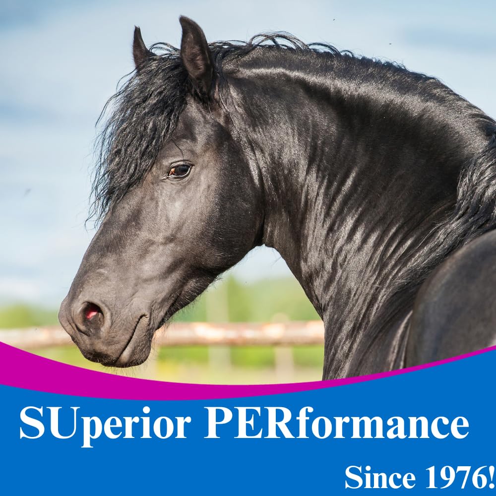 pre-race energy supplement for equines