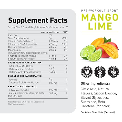pre-workout powder with 20 servings