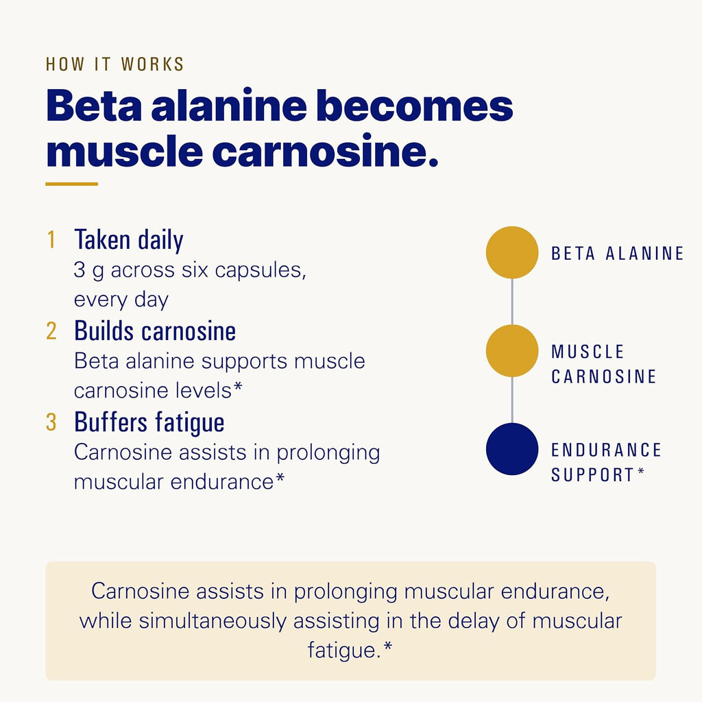 Pre-workout supplement with Beta Alanine