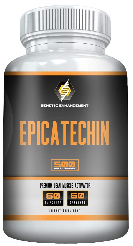 pre-workout with epicatechin for endurance