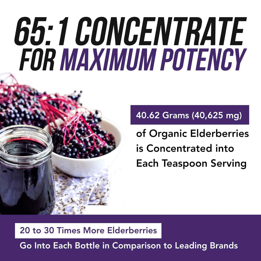 prebiotic absorption elderberry syrup